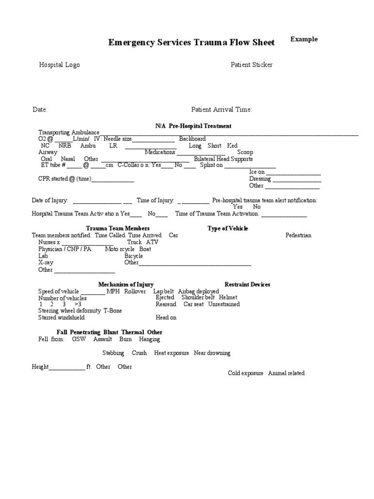 Trauma Flow Sheet | Major Trauma | Emergency Medical Services
