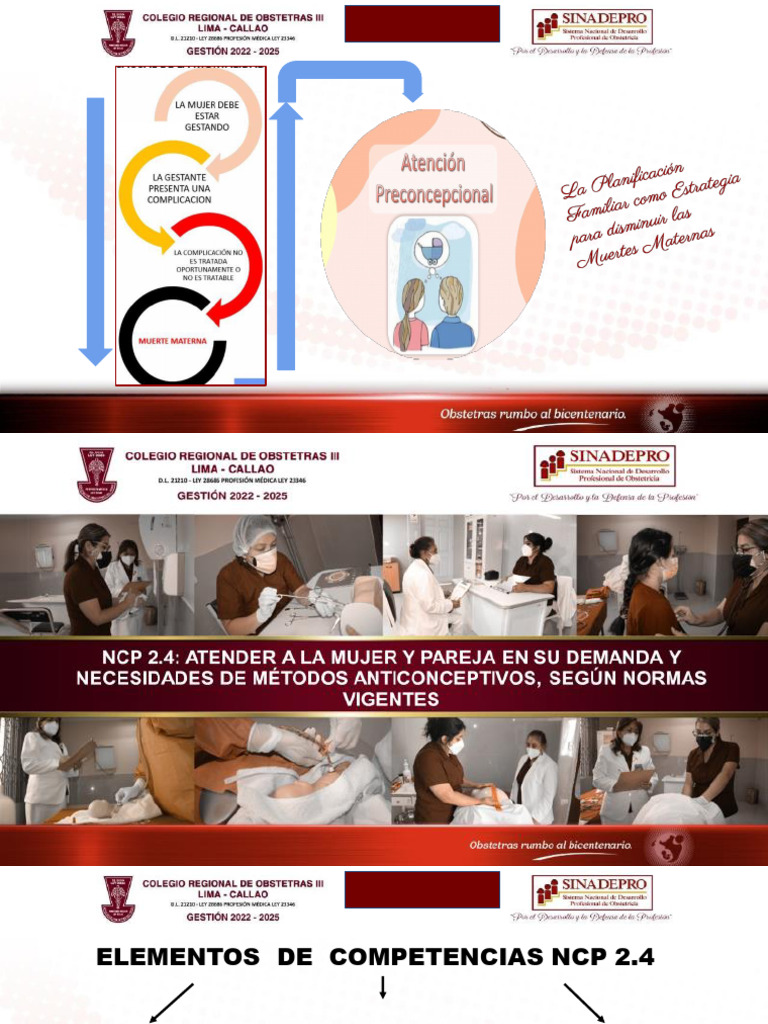 NCP 2.4 Version 2023 | PDF