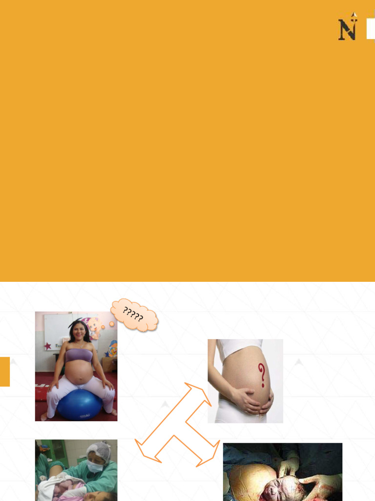 Clase 1. Ppo Conceptual e Historia | PDF