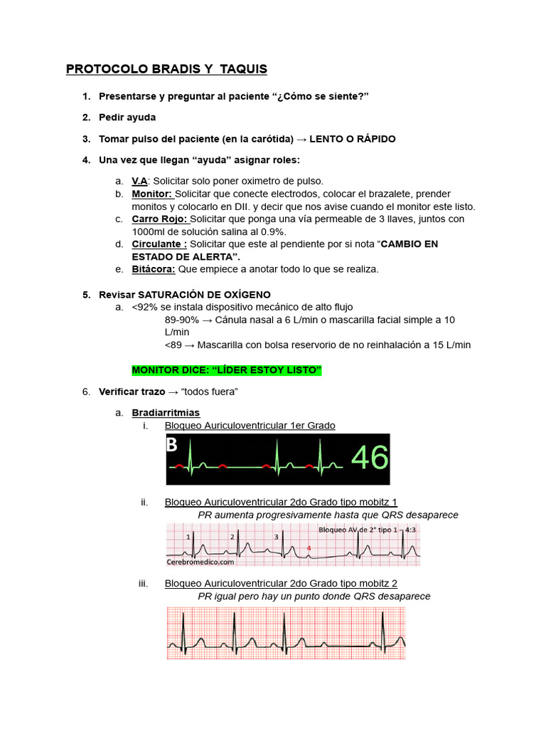 Protocolo Completo | PDF