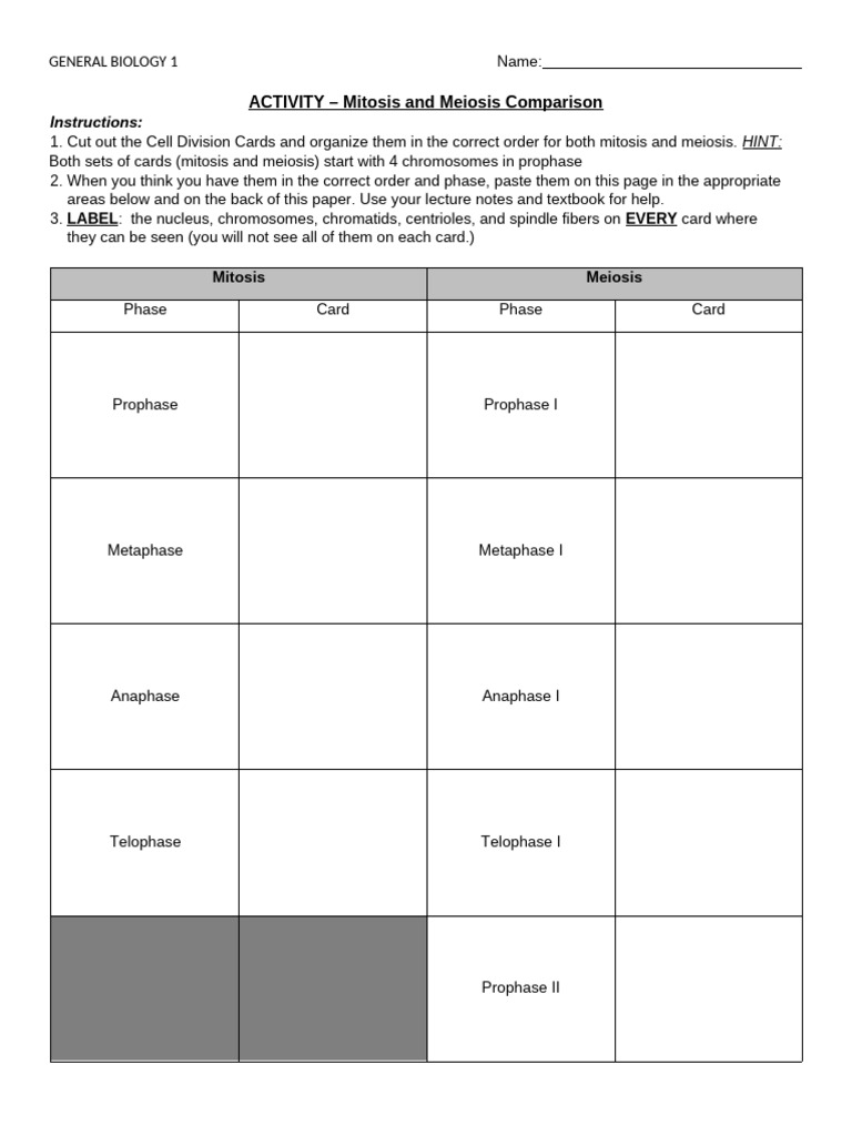 Mitosis and Meiosis Comparison Activity | PDF