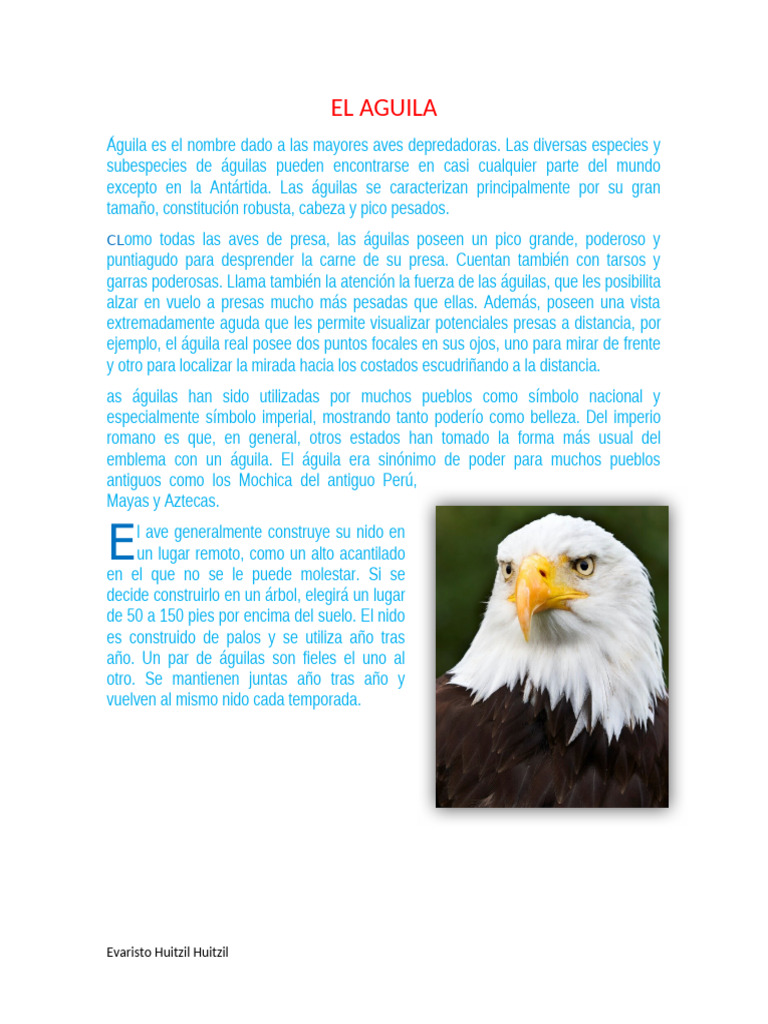 El Aguila | PDF