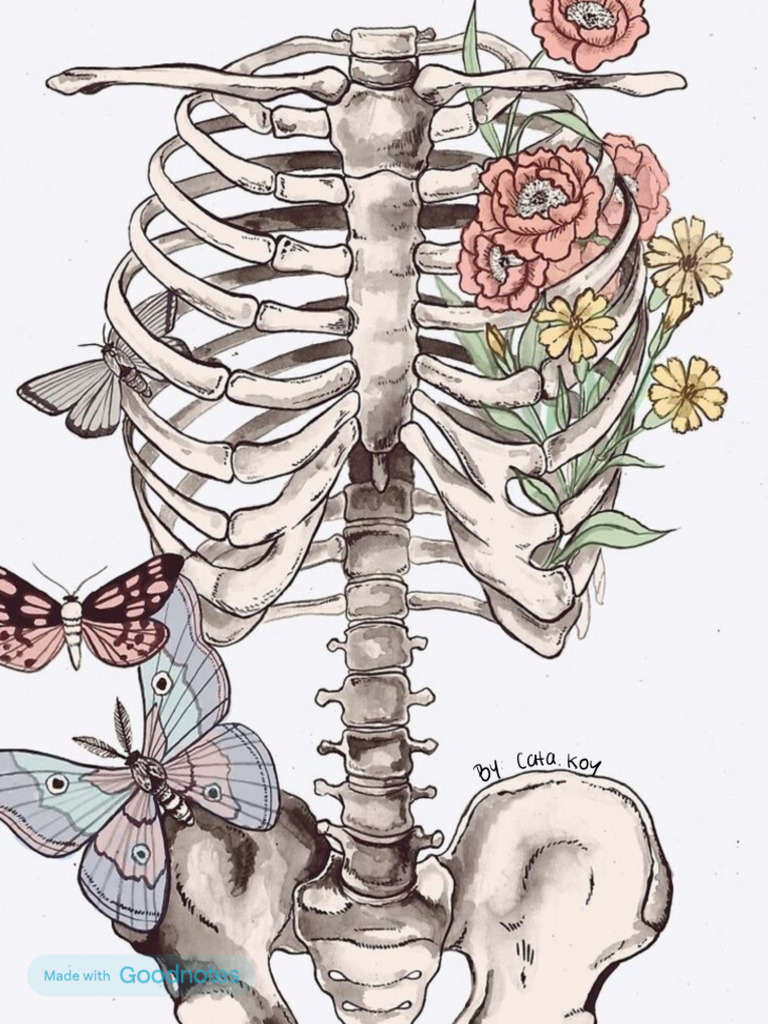 Resumen Anatomia Huesos Pdf