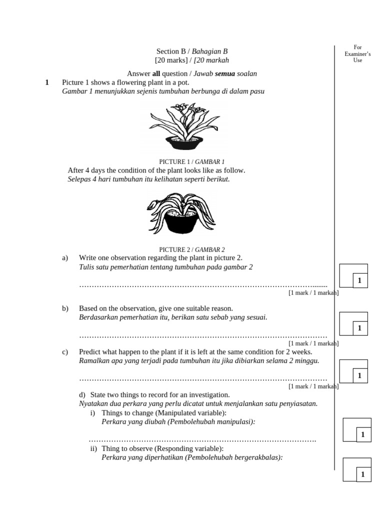 Section B | PDF
