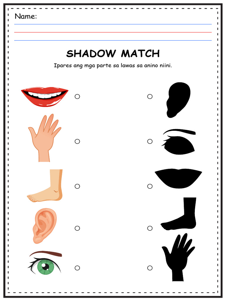 Shadow Match | PDF
