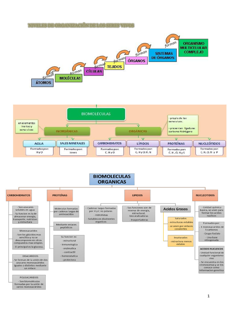 Esquemas, Resumos, Mapas Conceptuais | PDF