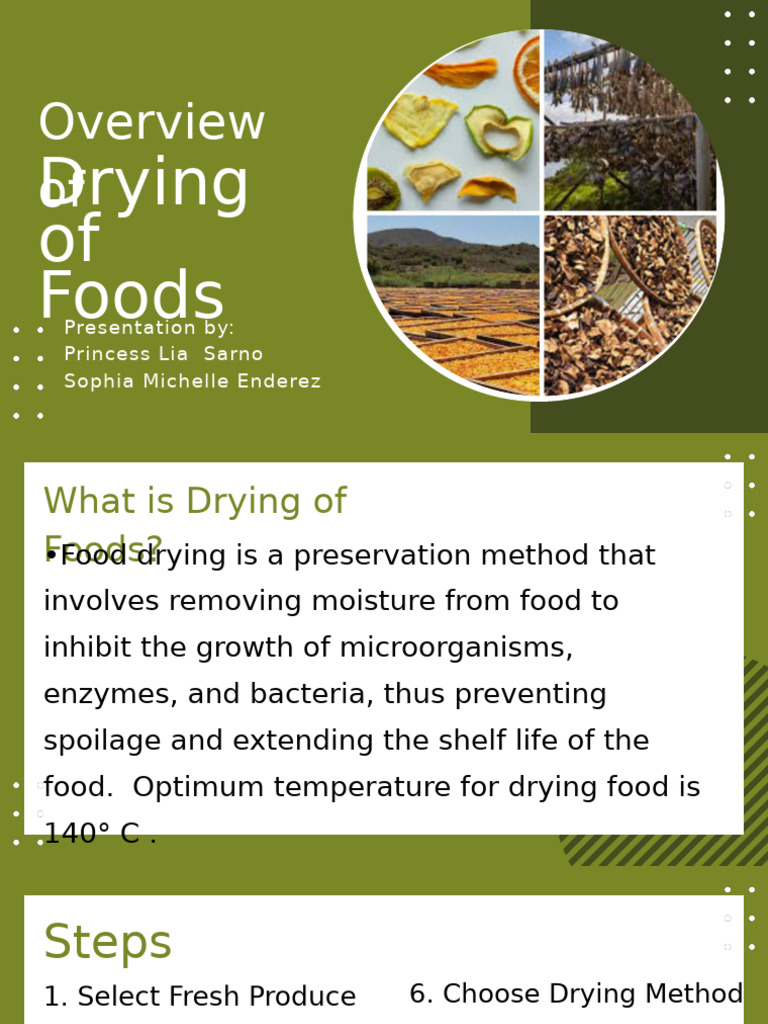 Food Drying | PDF