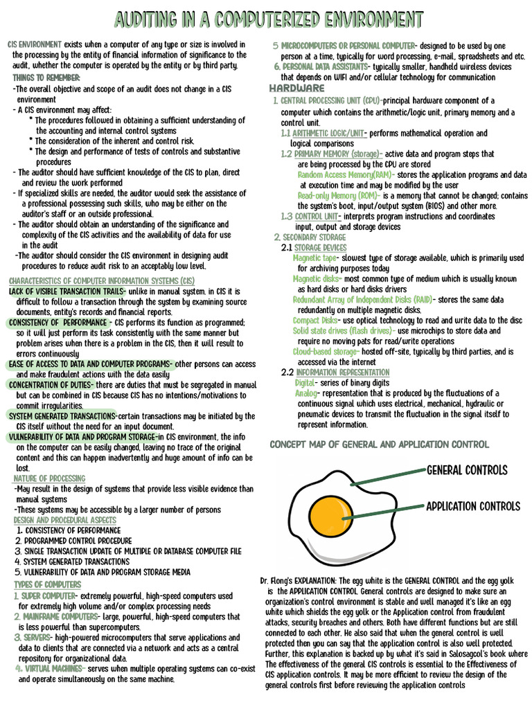 Auditing in Cis Environment | PDF