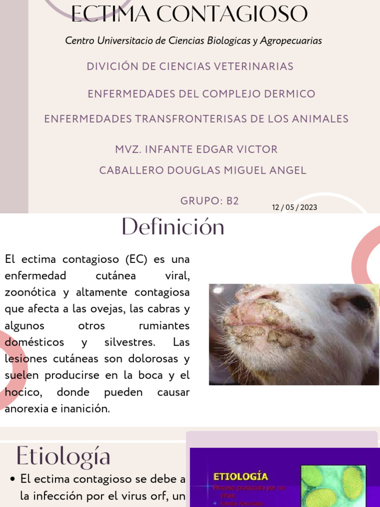 Ectima Contagioso | PDF