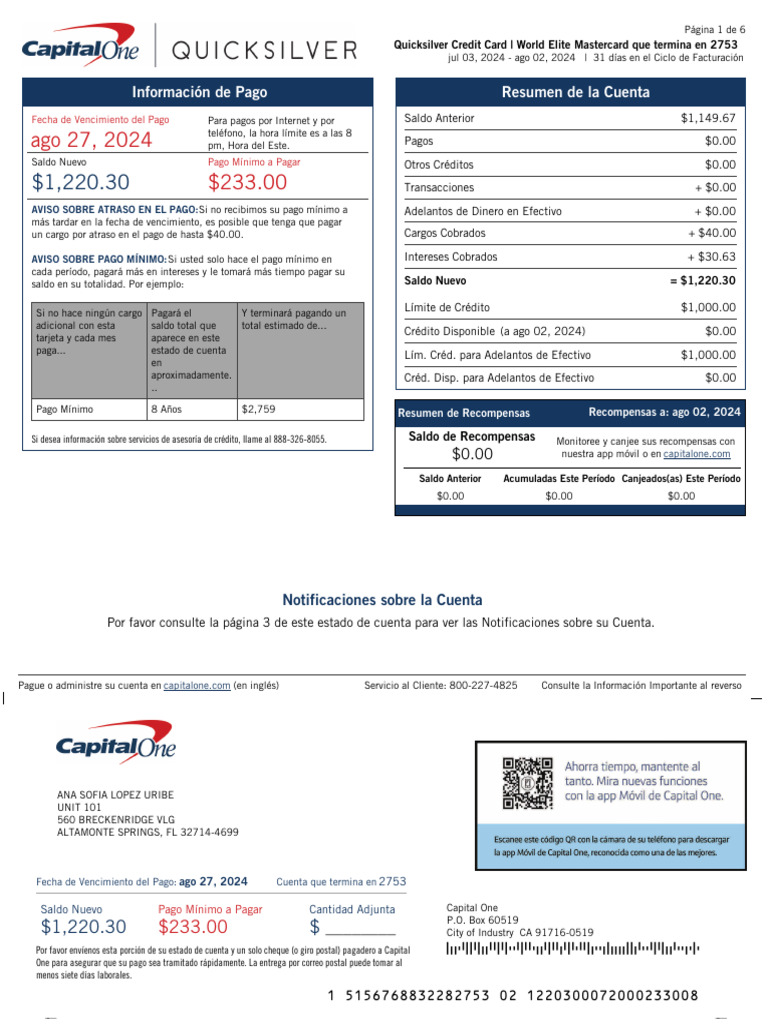 Quicksilver Card Statement 2753 | PDF