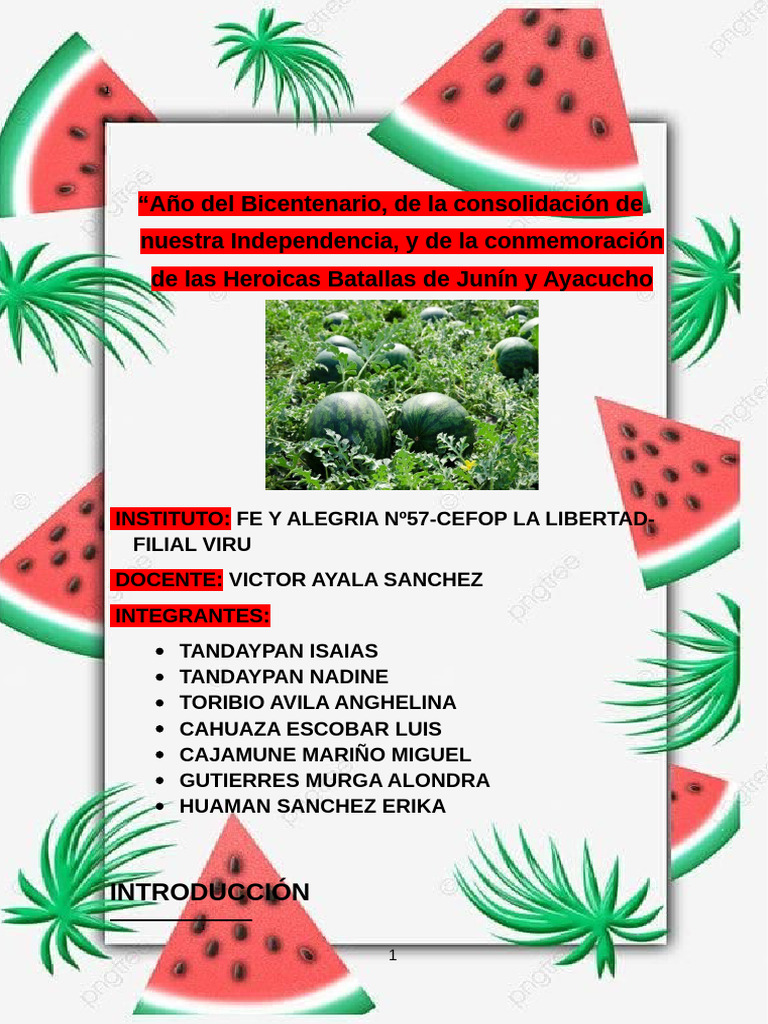 Zandia Informe | PDF | Semantic Units