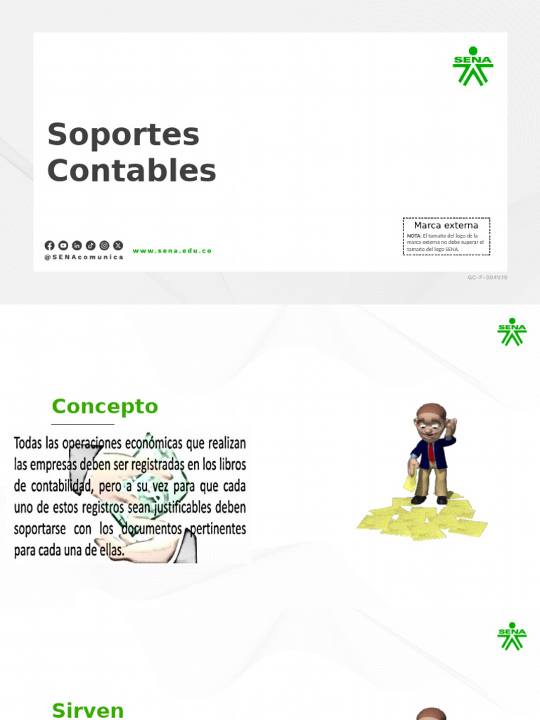 Soportes Contables | PDF