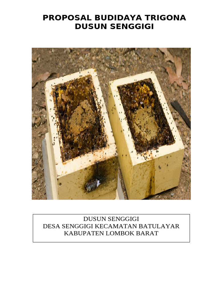 PROPOSAL TRIGONA | PDF