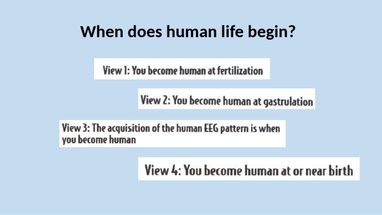 When Does Life Begin - Powerpoint | PDF