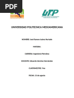 Manual Petrel Basico | PDF | Archivo de computadora | Ventana (informática)
