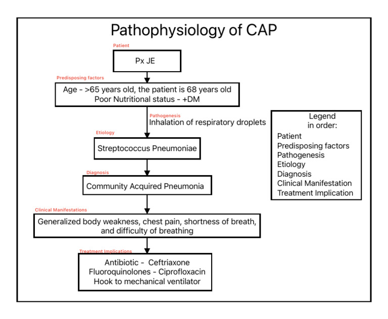 Pathophysiology of CAP | PDF