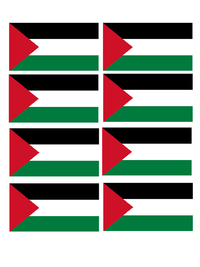 Palestine Flag | PDF