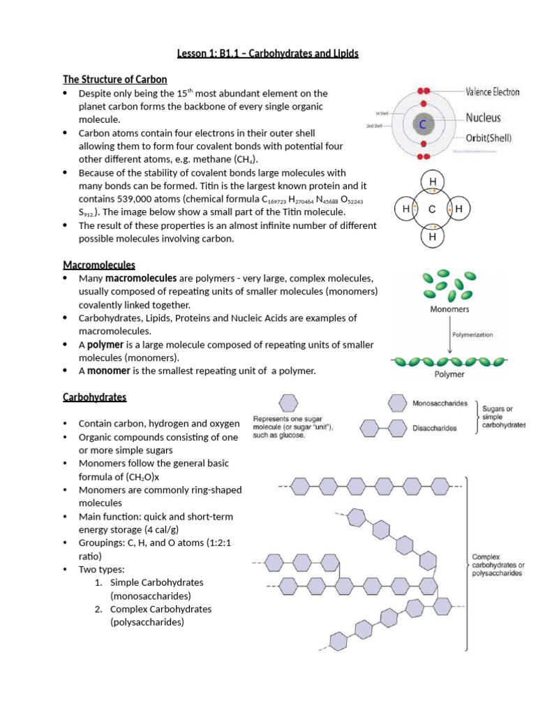 Lesson 1 B1.1 - Carbohydrates and Lipids Notes | PDF