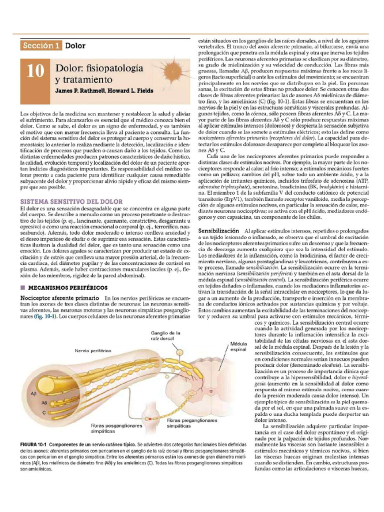 Capitulo 10, Dolor MIH | PDF