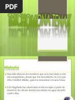 Mecanismos Patogã©nicos de Trichomonas Vaginalis | PDF