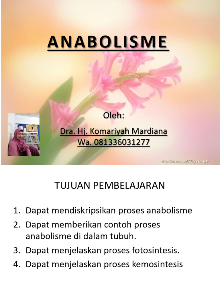 Anabolisme Kelas Xii | PDF