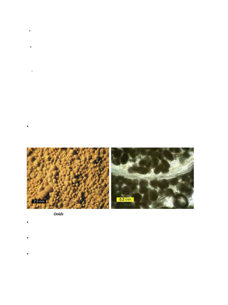 Sedimentary Rocks 02 | PDF