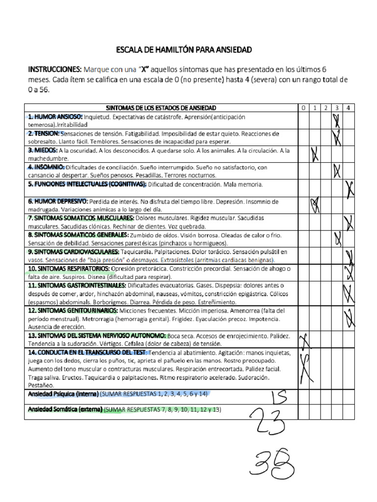 Hamilton Ansiedad Escala | PDF