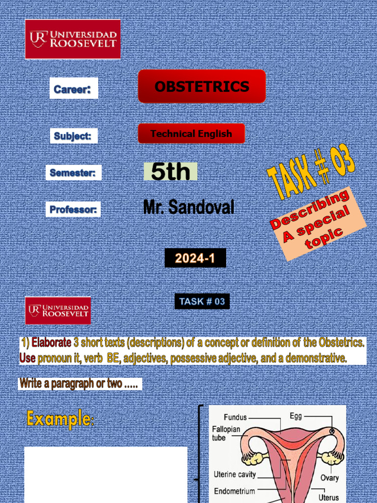 Task #03 Obs 2024 1 | PDF