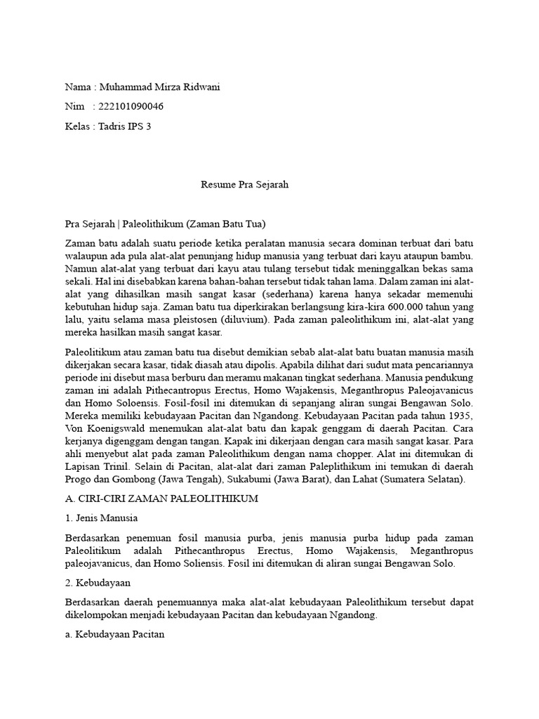 Mirza 1 Resume | PDF