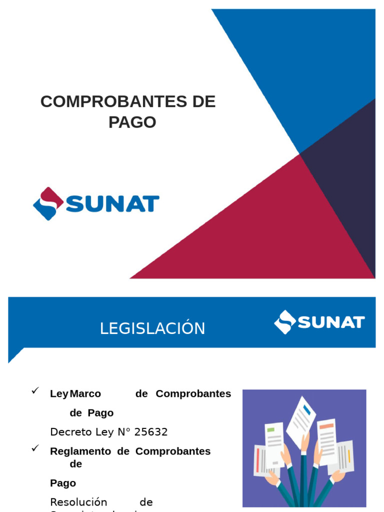 Tema 13 Y 14 Comprobantes De Pago Pdf