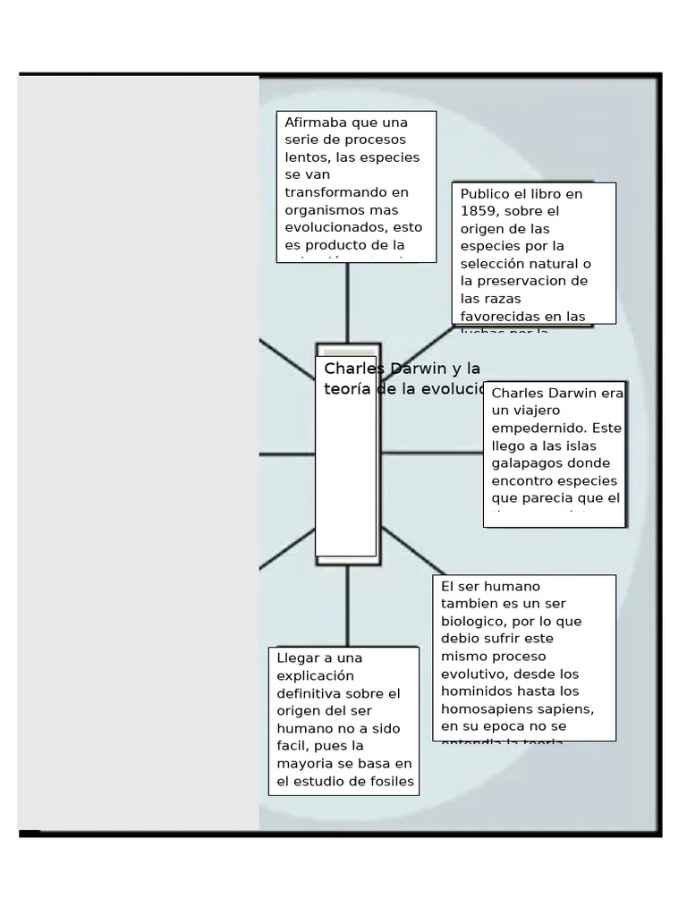 Documento (31) Mapa Mental | PDF