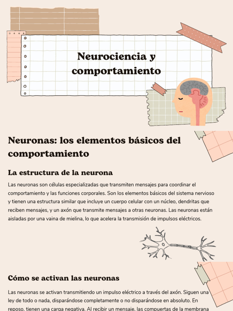 Neurociencia y Comportamiento | PDF | Neurona | Relaciones personales, crianza y desarrollo personal