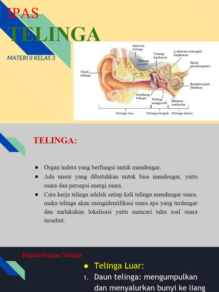 Telinga Ipas | PDF