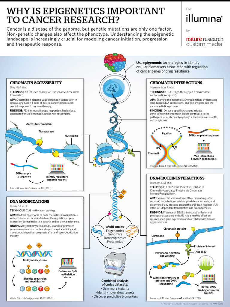 WHY IS EPIGENETICS IMPORTANT TO CANCER RESEARCH | PDF