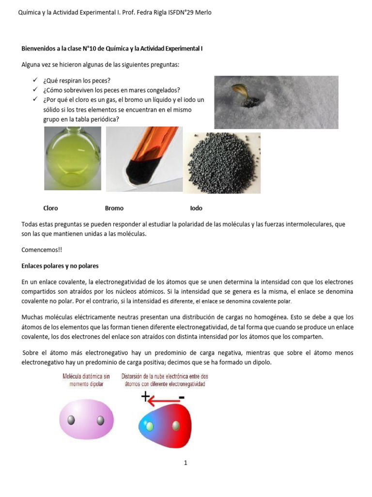 Clase N10 2024 | PDF