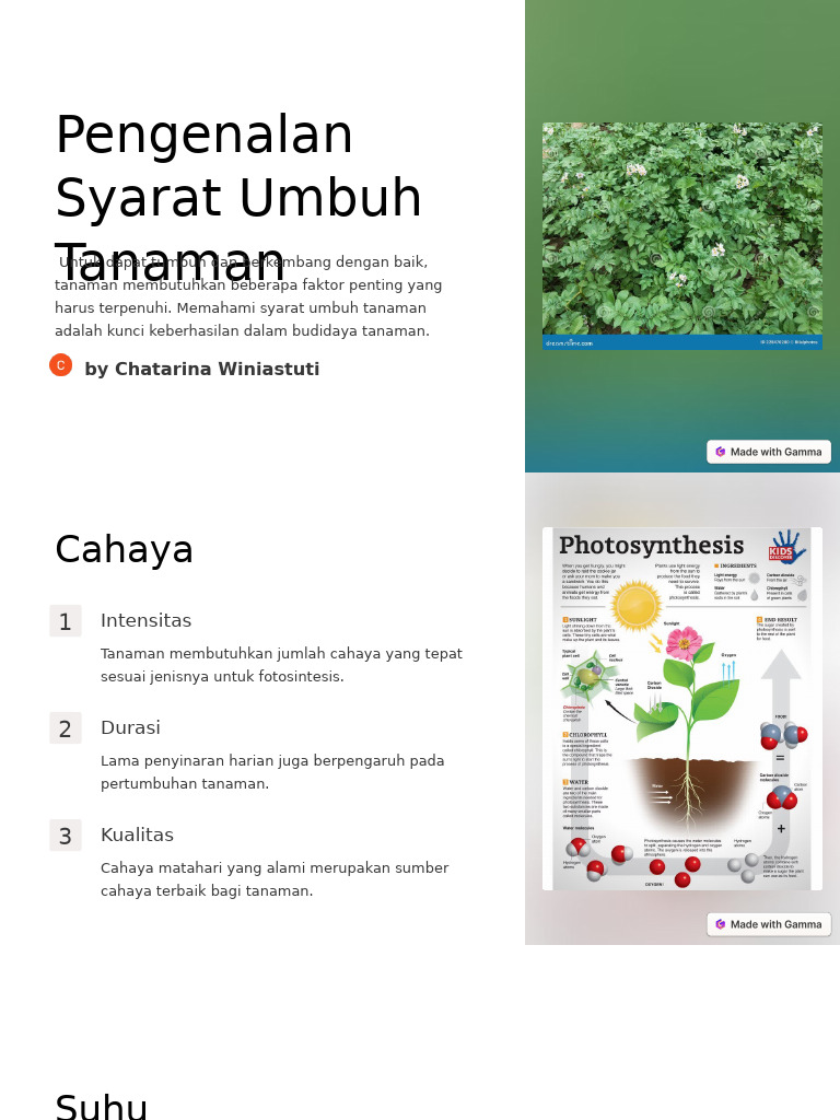 Pengenalan Syarat Umbuh Tanaman | PDF