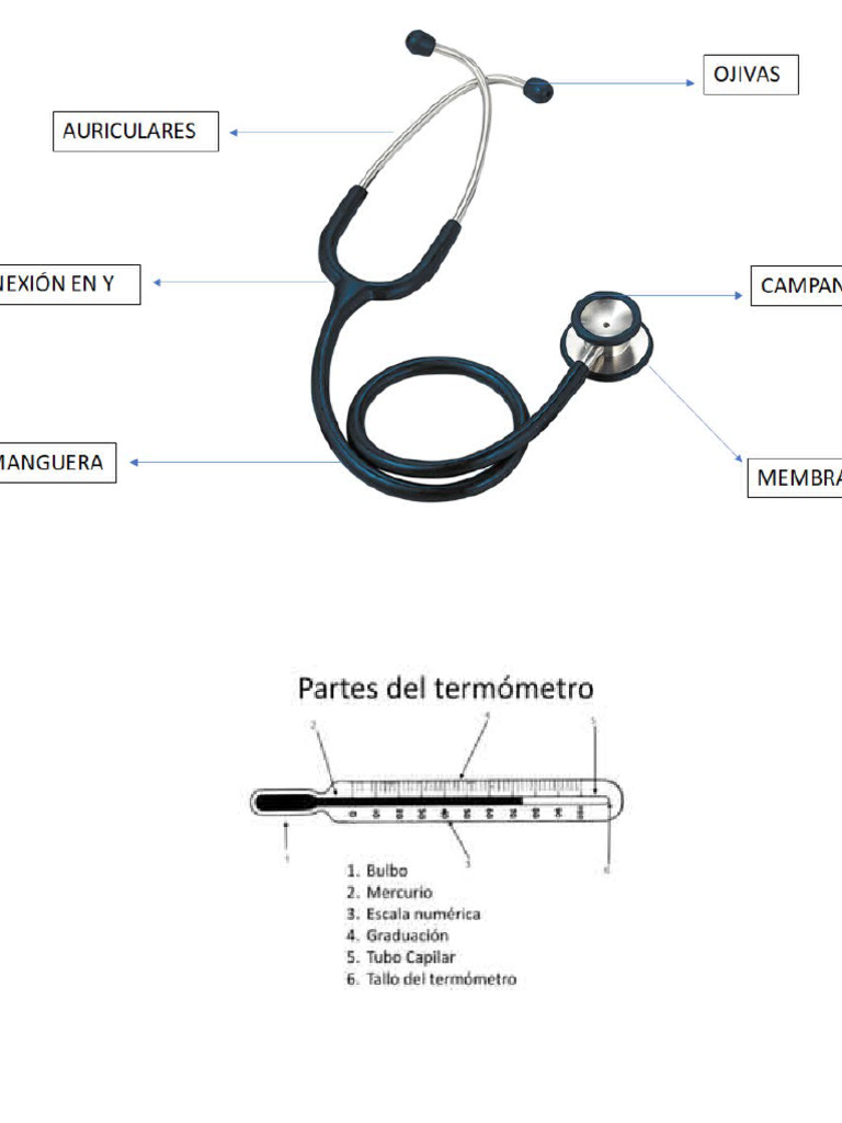 Investigacion Partes De Fonendoscopio Termometro Tensiometro Jeringa Pdf