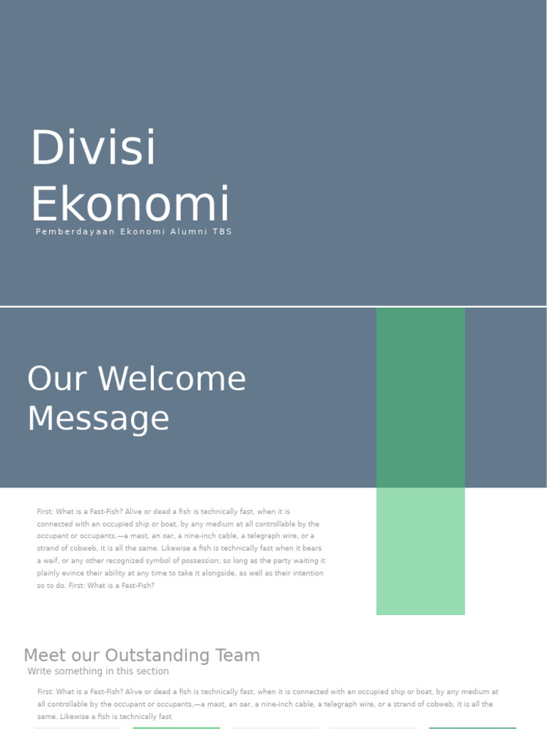 Company Profile Div Ekonomi | PDF