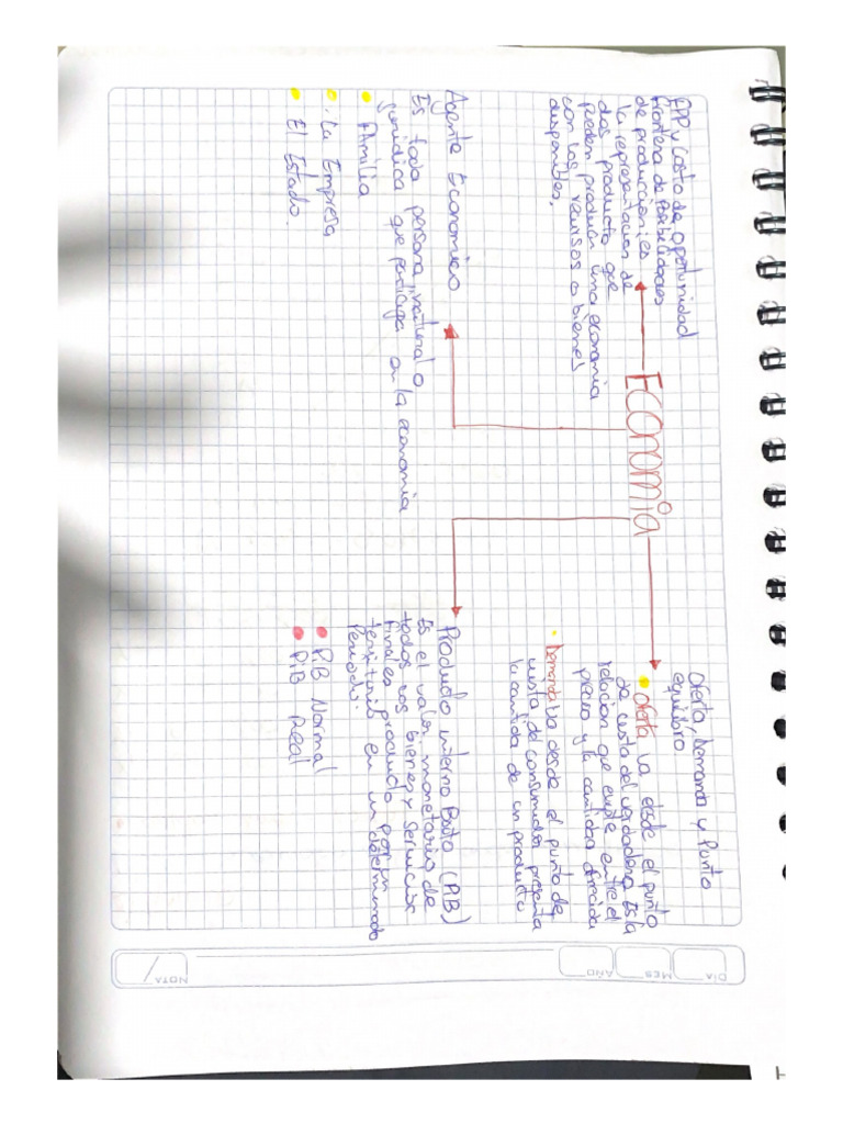 Mapa Mental Sobre La Demanda | PDF