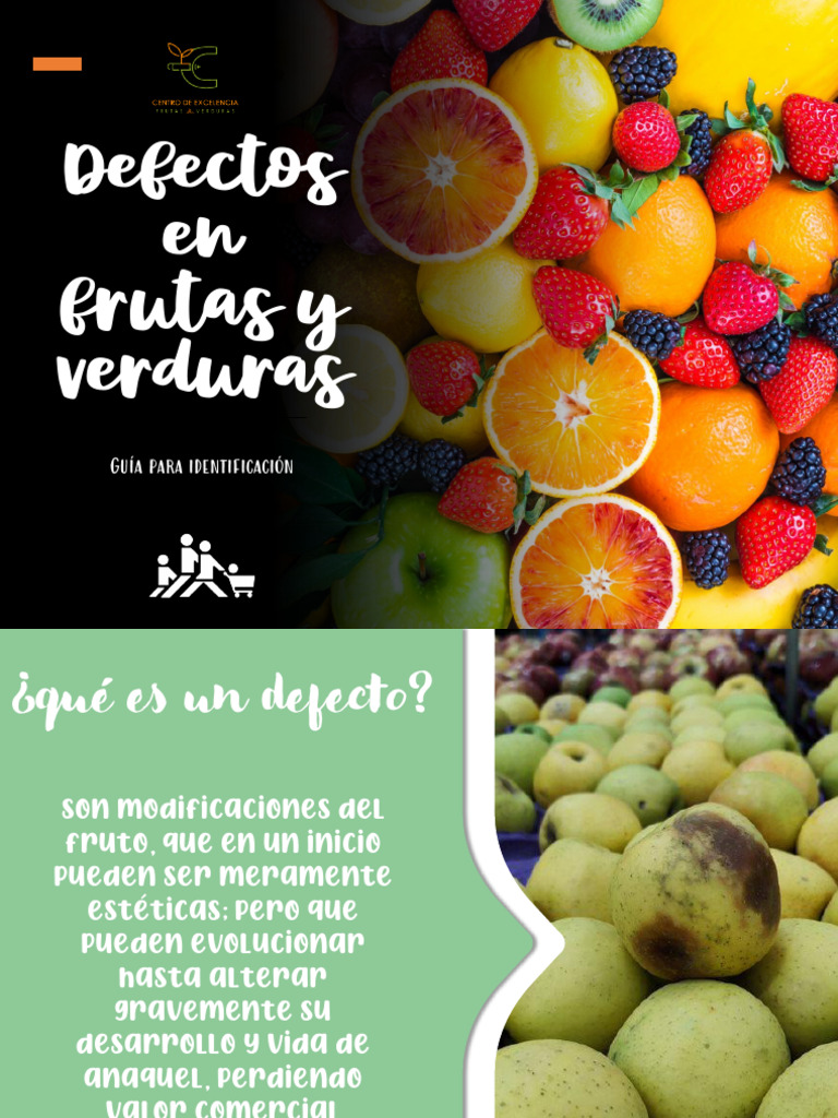 Glosario de Defectos RPB | PDF