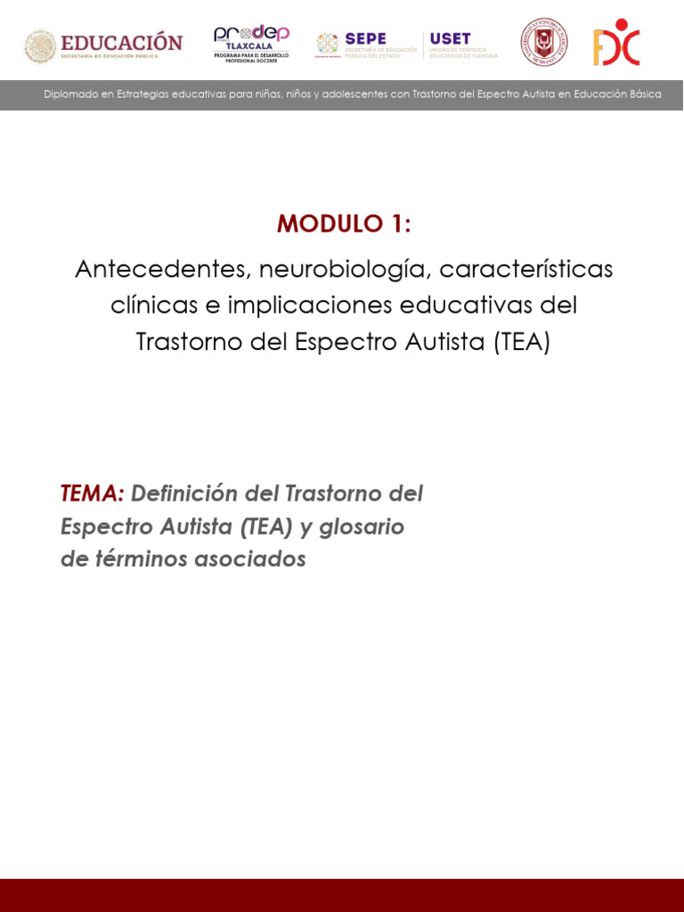 Definición de TEA y Glosario de Términos Asociados | PDF