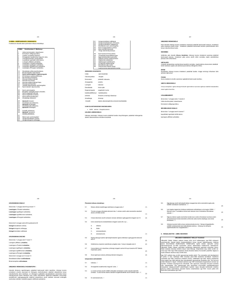 siba - converted (1) | PDF