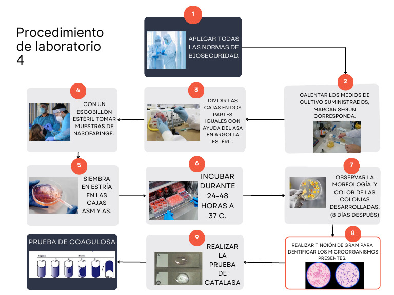 White Minimalist Modern Recruitment Process Flowchart PDF | PDF