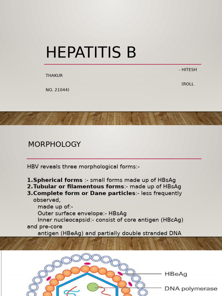 Hepatitis b | PDF