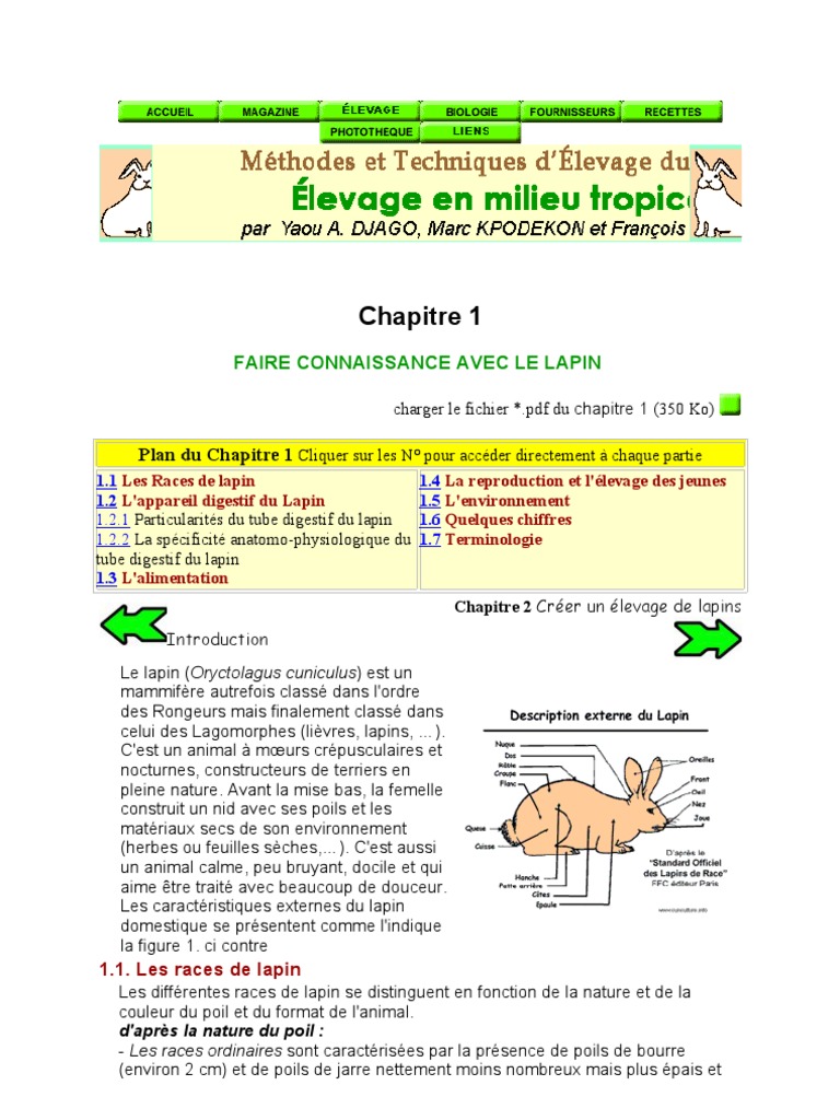 Chapitre 1.docx Lapin | Descargar gratis PDF | Appareil digestif humain ...