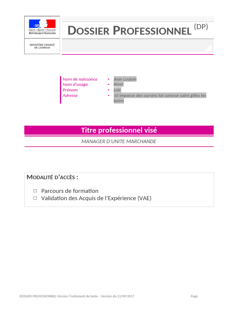 Trame Dossier Professionnel MUM | PDF