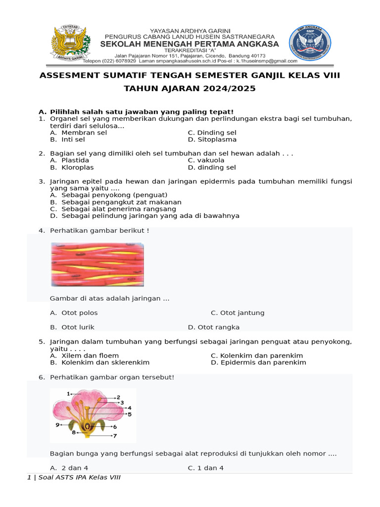 Asts Ganjil Kelas Viii | PDF
