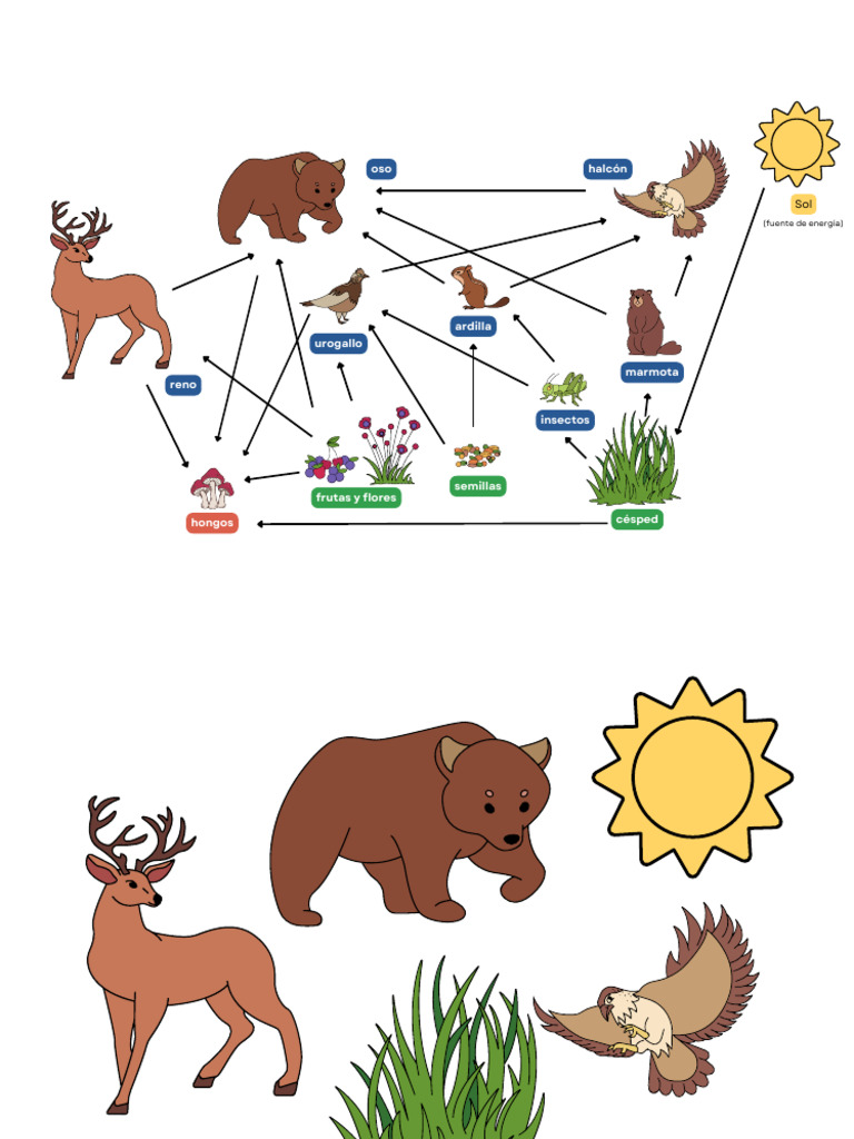 Adrian Red Aliemnticia | PDF
