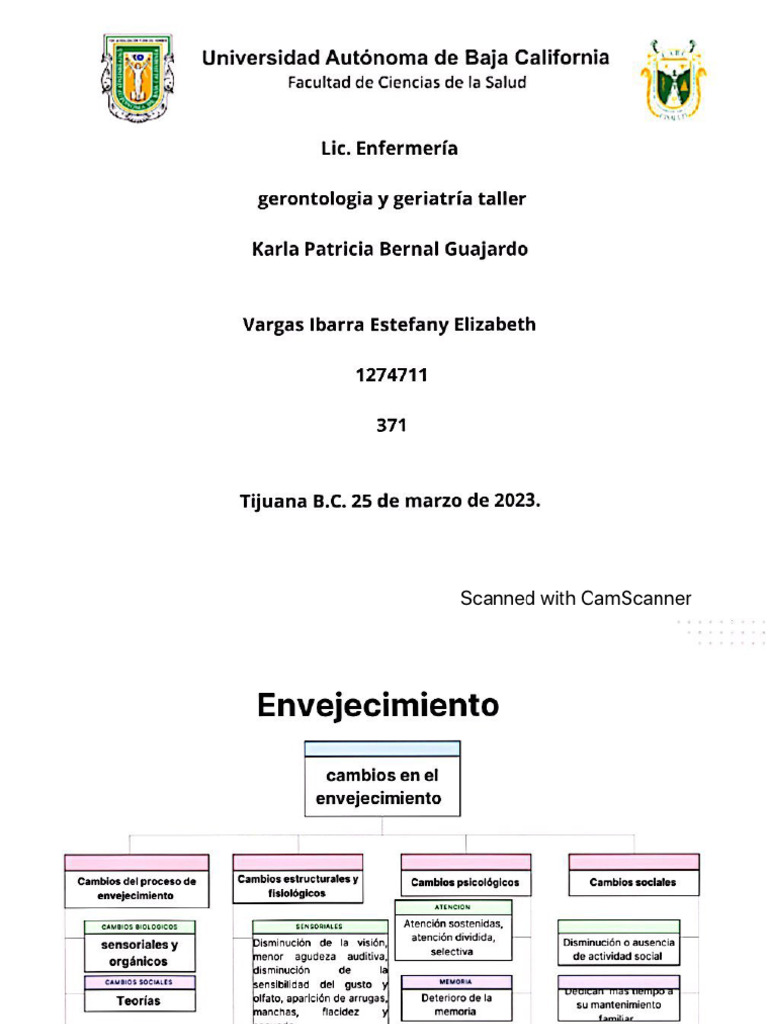 Meta 2.2 Vargas Ibarra Estefany | PDF
