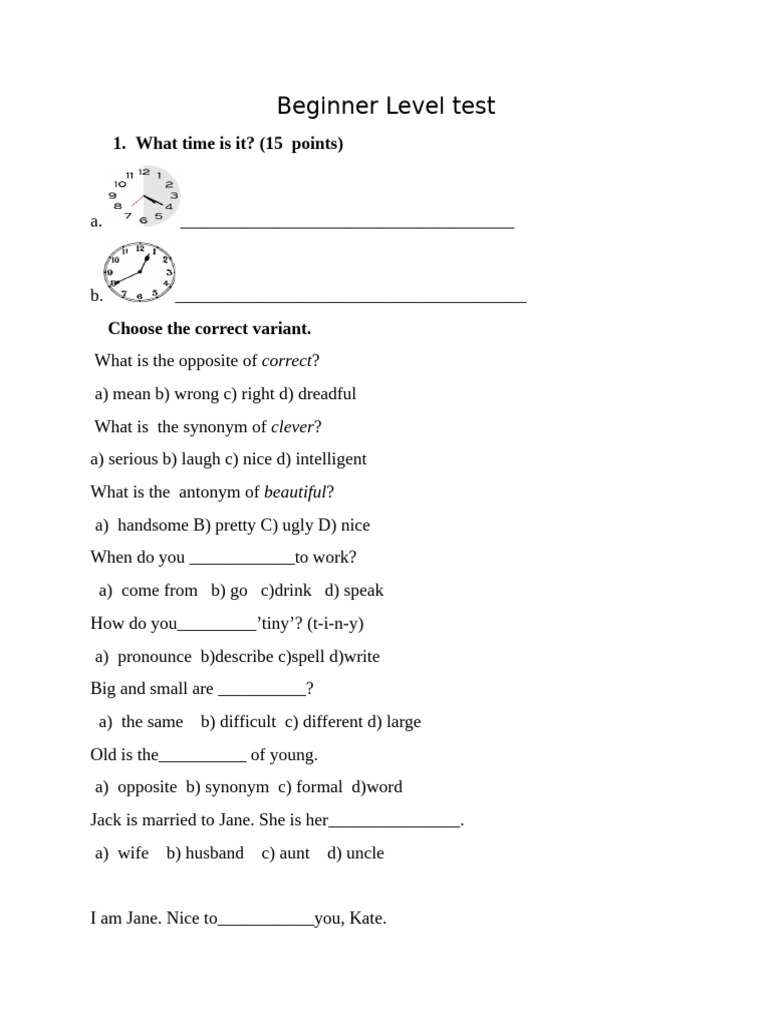 Beginner Level test | PDF